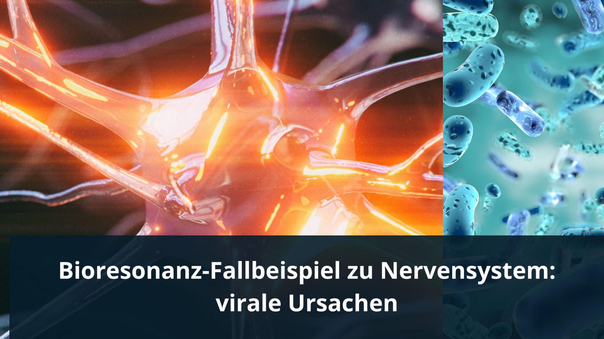 Bioresonanz - Medizin mit Zukunft - Bioresonanz, Bioresonanztherapie ...